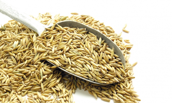 Kamut, 10 Cose da Sapere | RDD