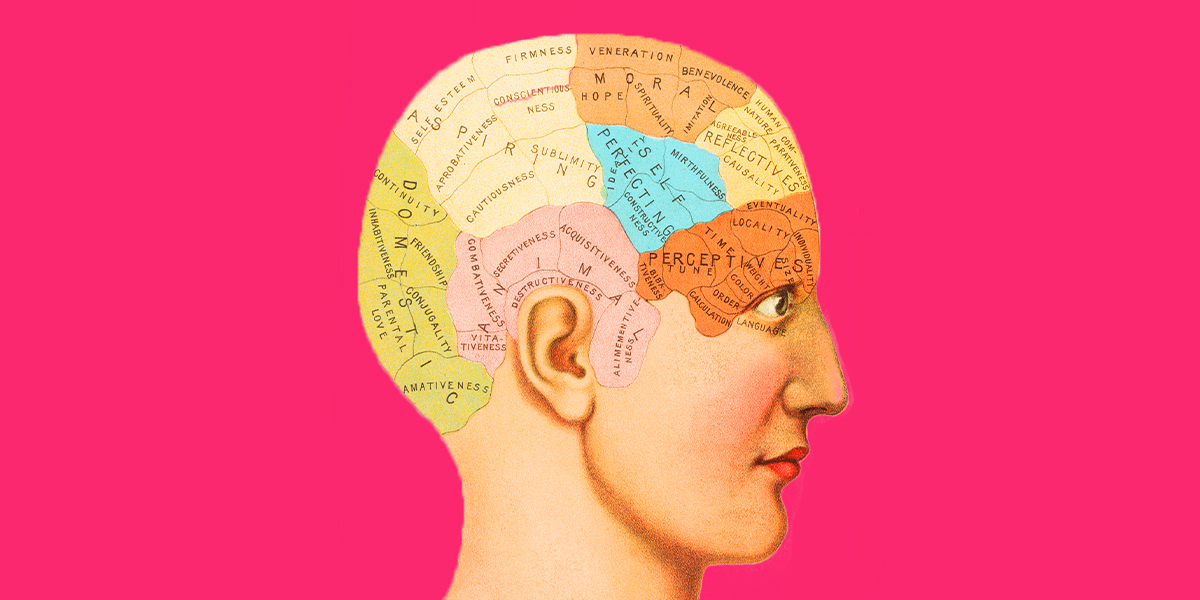 Frenologia: significato, storia e impatto suelle donne | Roba da Donne