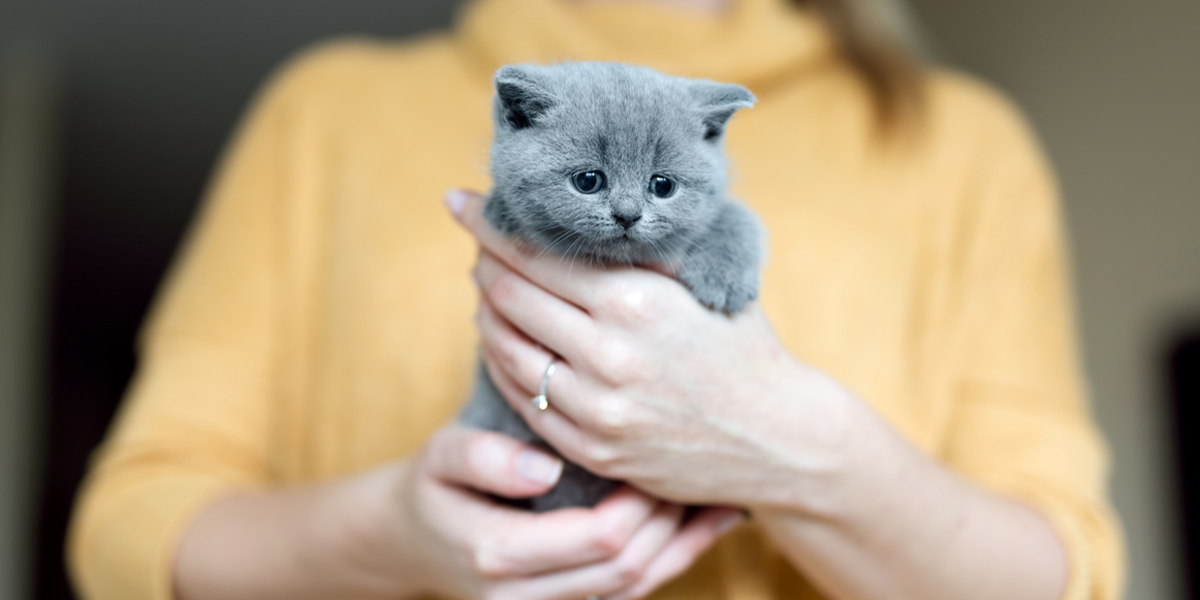 Cute aggression, quella voglia di 'strapazzare di coccole' | RDD