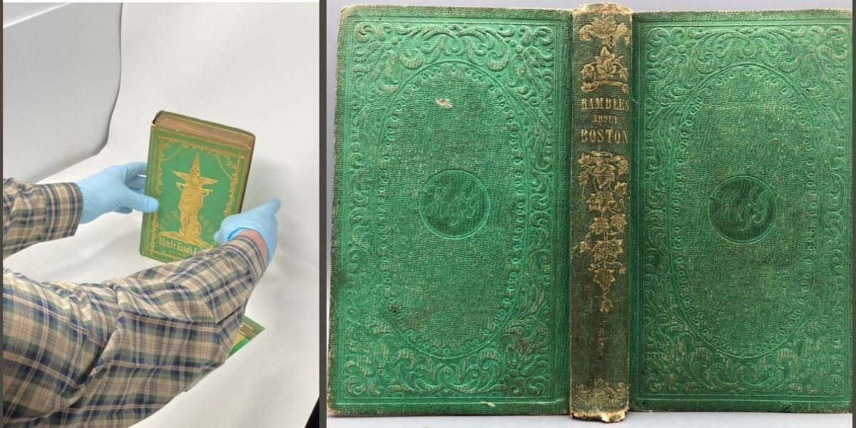 Quali sono i poison book più belli e velenosi di sempre | RDD