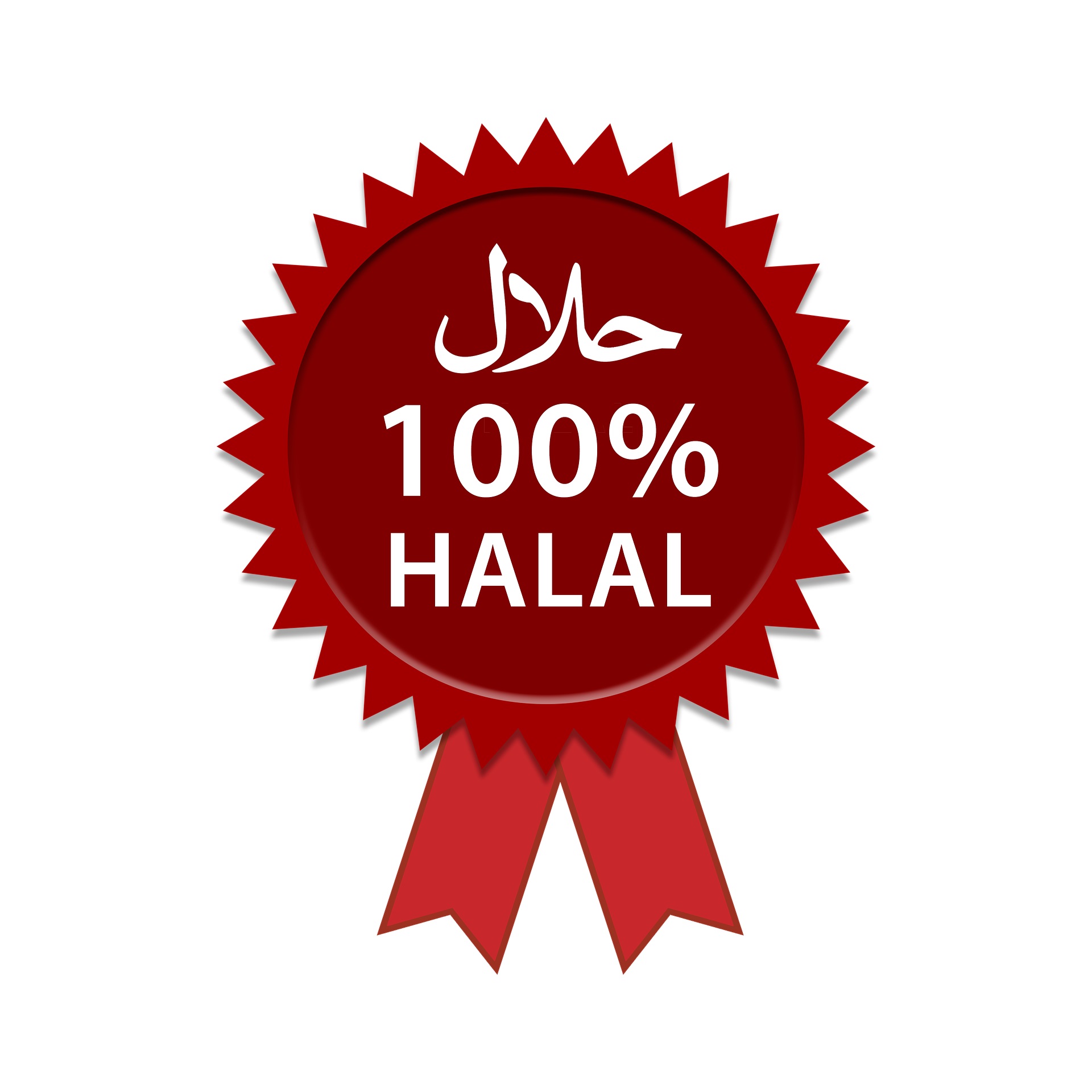 Carne halal: cosa significa e quali sono le regole | RDD