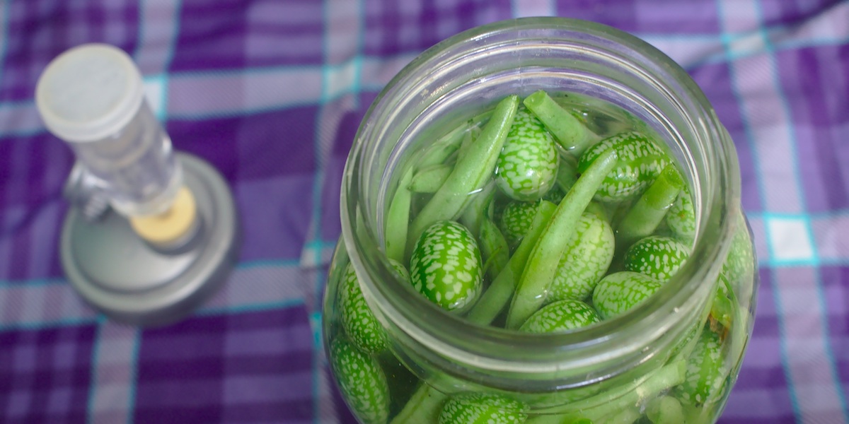 Cibi fermentati, quali sono e i loro benefici | Roba da Donne