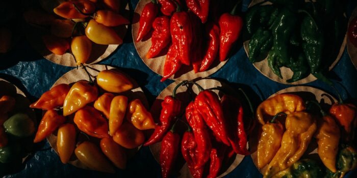 Scala di Scoville: come si misura quanto è piccante il peperoncino? | RDD