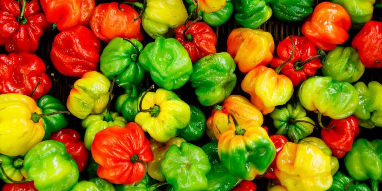 Scala di Scoville: come si misura quanto è piccante il peperoncino? | RDD