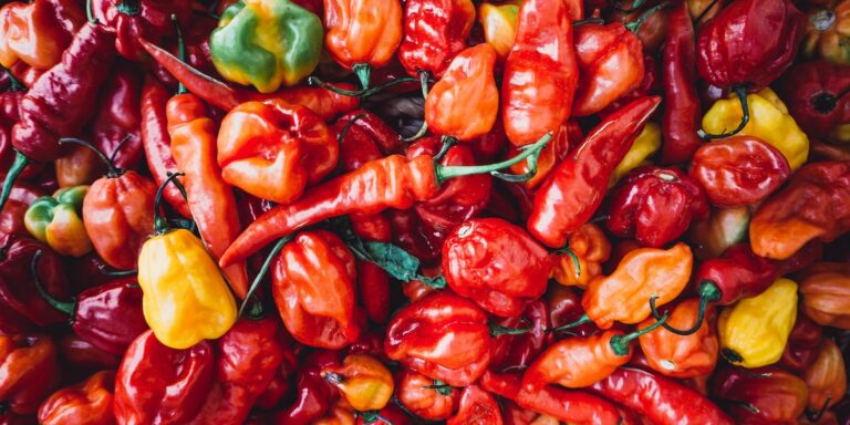 Scala di Scoville: come si misura quanto è piccante il peperoncino? | RDD