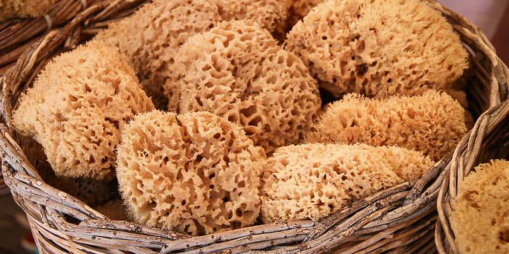 Spugna mestruale: come si usa, pro e contro | Roba da Donne