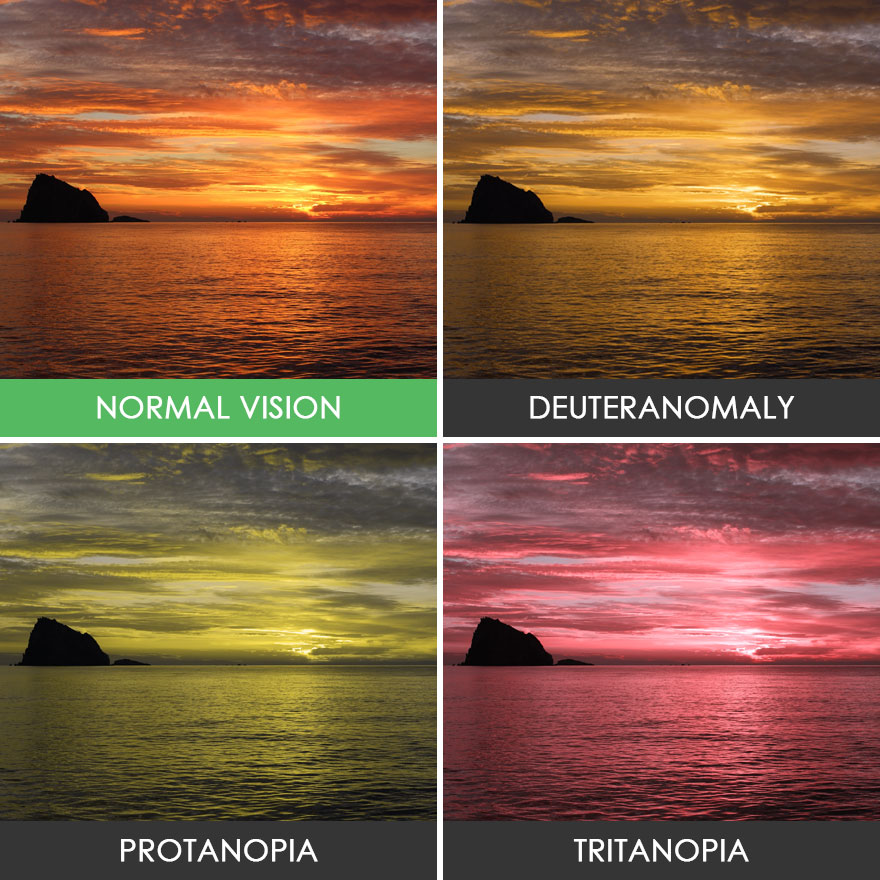 Come appaiono i colori ai daltonici? Così (FOTO)- Roba da Donne