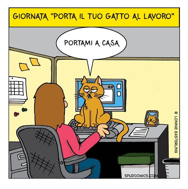 Lonnie Easterling e le sue vignette più comiche (attenti al calzino)